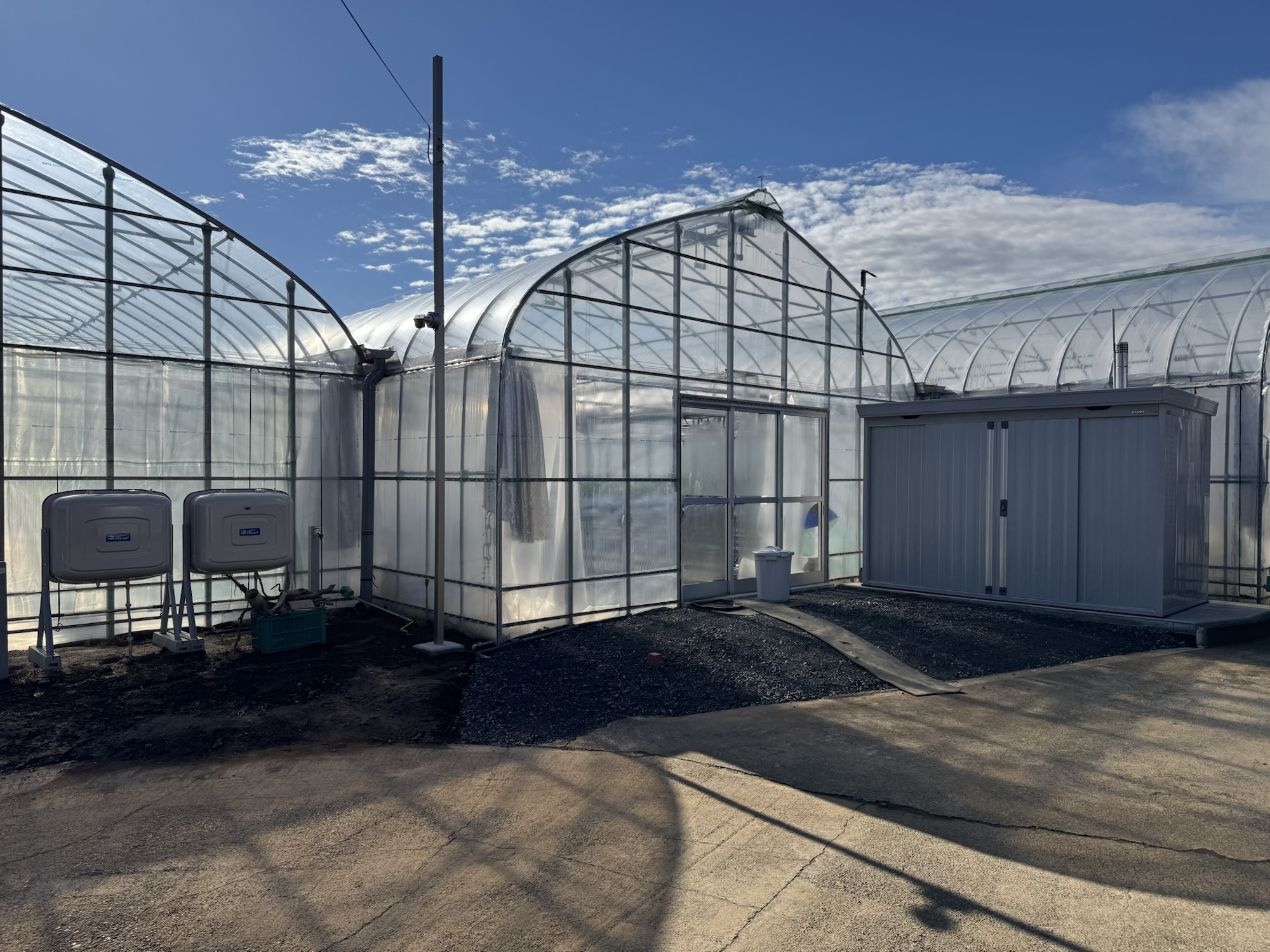 ミカファーム – 千葉県柏市 いちご農園ミカファーム【いちご狩り・直売】