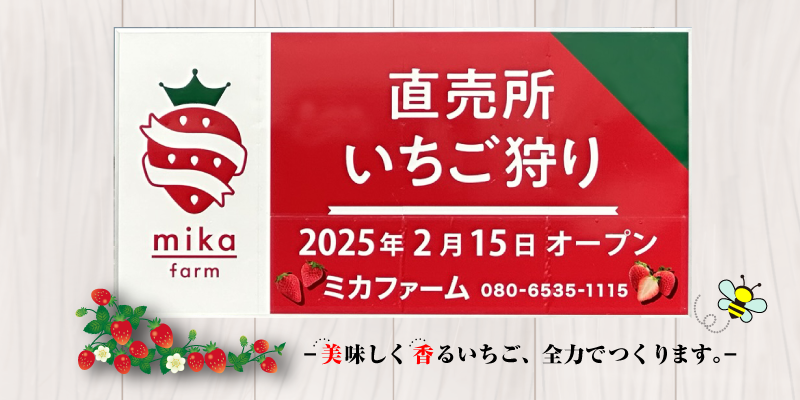 千葉県柏市 いちご農園ミカファーム【いちご狩り・直売】 – 美味しく香る いちご、全力でつくります。 常磐道柏I.Cより車で5分。