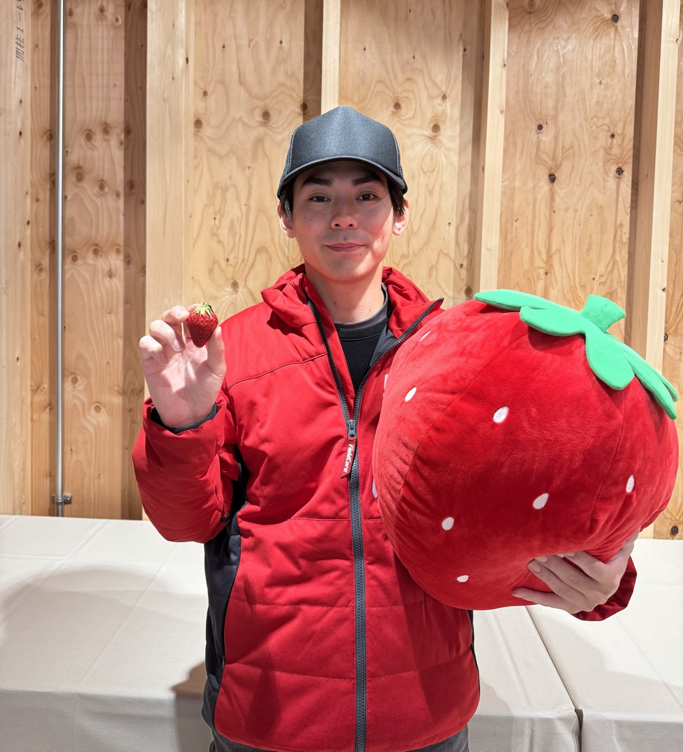 ミカファーム – 千葉県柏市 いちご農園ミカファーム（いちご狩り・直売）